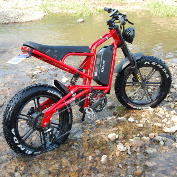 Xe Đạp Điện Địa Hình Xtion EBA216