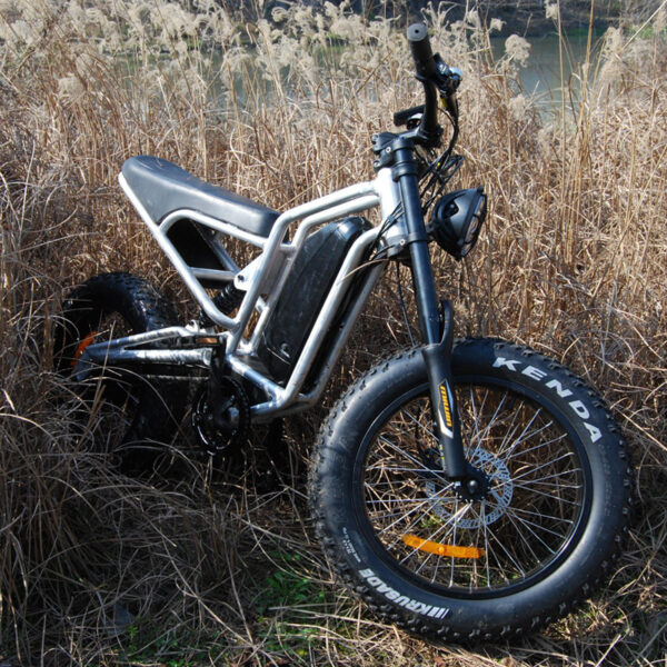 Xe Đạp Điện Địa Hình Xtion EBA216